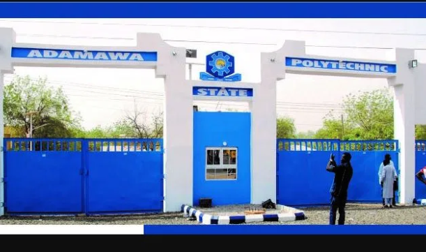 Adamawa Poly set to offer degree programs - Myschool